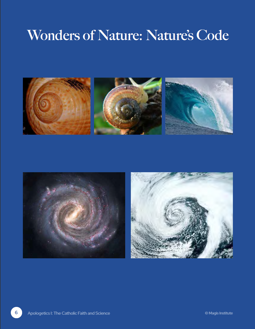 Wonders of Nature: Nature’s Code - Sophia Teachers